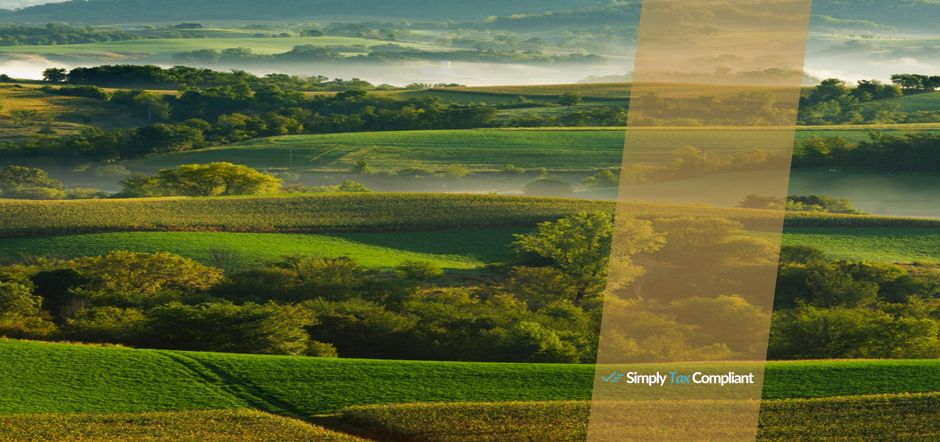 How to Set Up an LLC in Wisconsin - Simply Tax Compliant